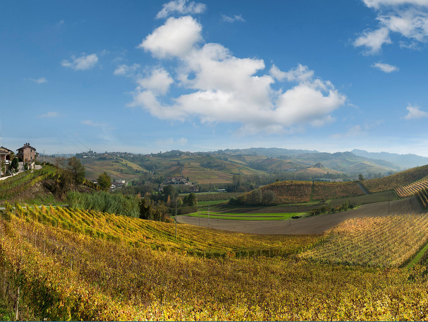 Private tour: piedmont wine tasting of the barolo region - BookingPiemonte