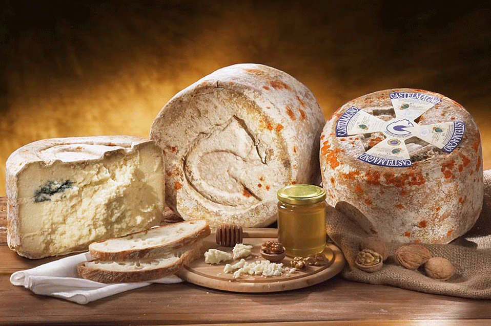 Alla scoperta del Castelmagno DOP - Booking Piemonte